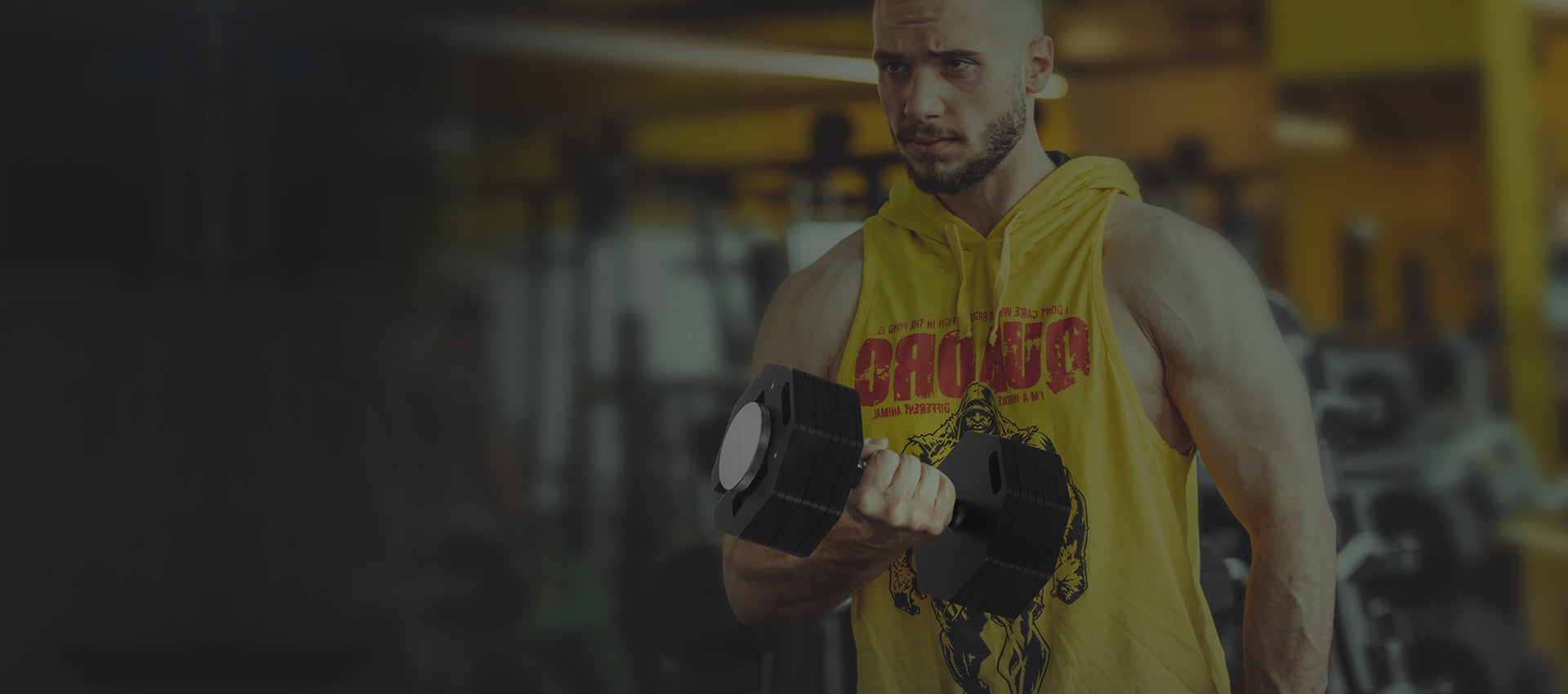 AOC FITNESS